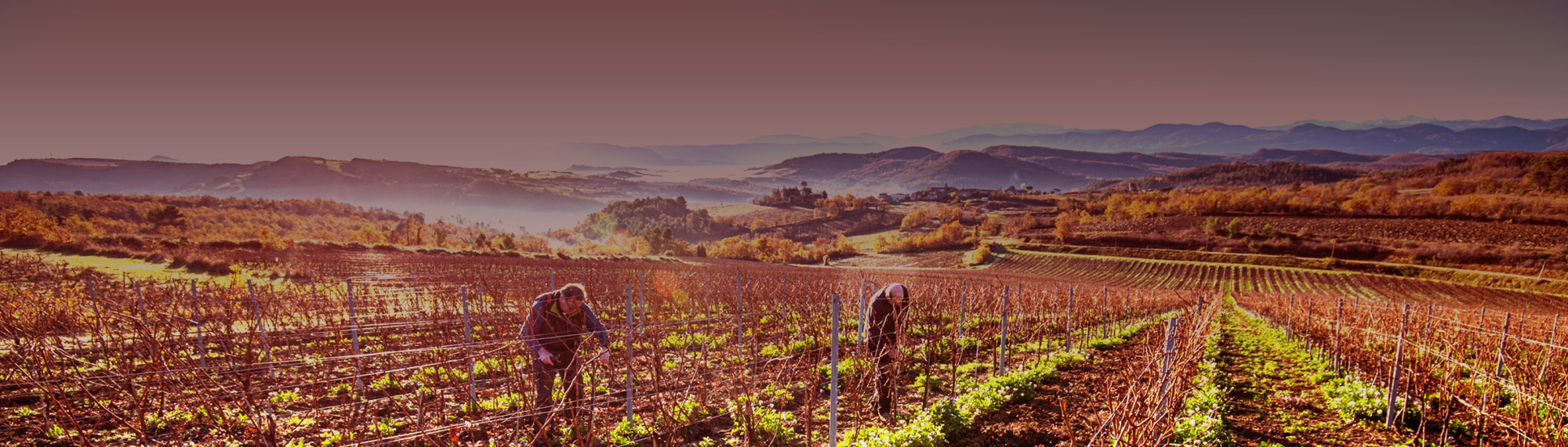 Toques et Clochers Limoux Chardonnay Autan 2019 - € 16,20